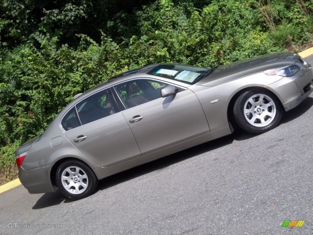 2004 Silver Grey Metallic BMW 5 Series 525i Sedan #54256268 Photo #30 | GTCarLot.com - Car Color ...